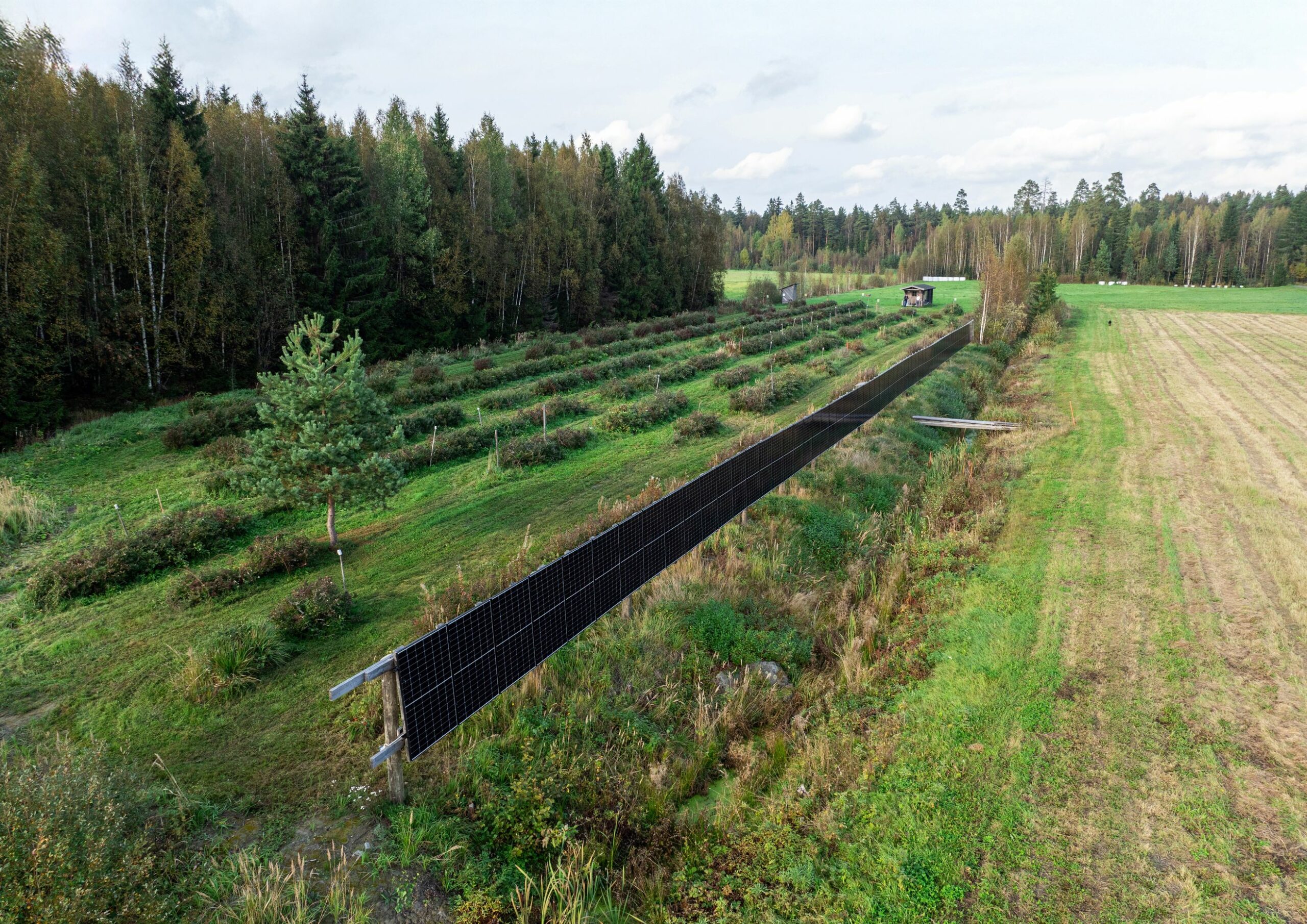 Aurinkosähkö­viljely voi soveltua Suomeen - Maatilan Pellervo