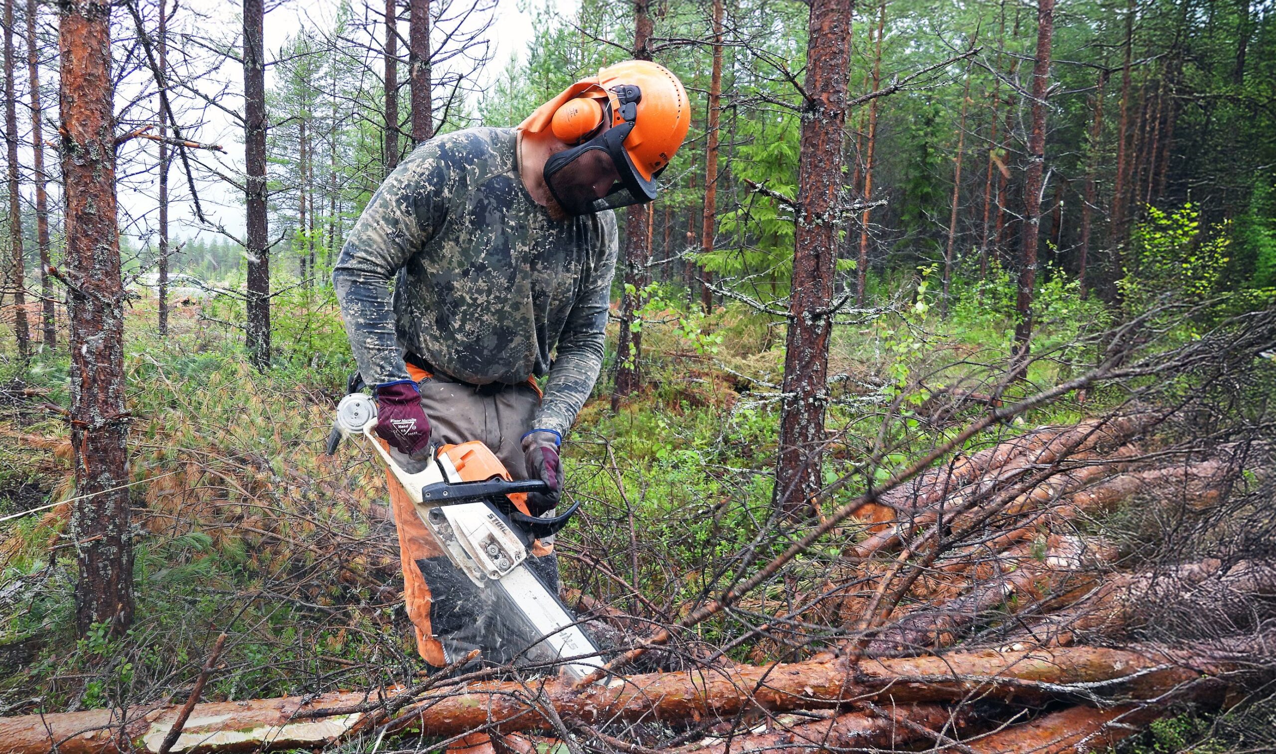 Hankinta­savottaa kintas­motolla - Maatilan Pellervo