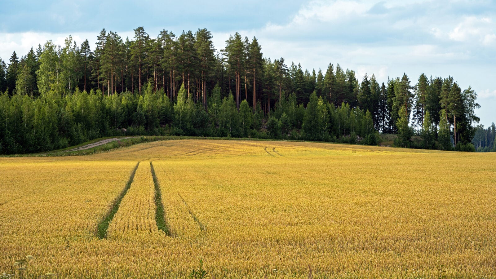 Mitä pelto maksaa? - Maatilan Pellervo