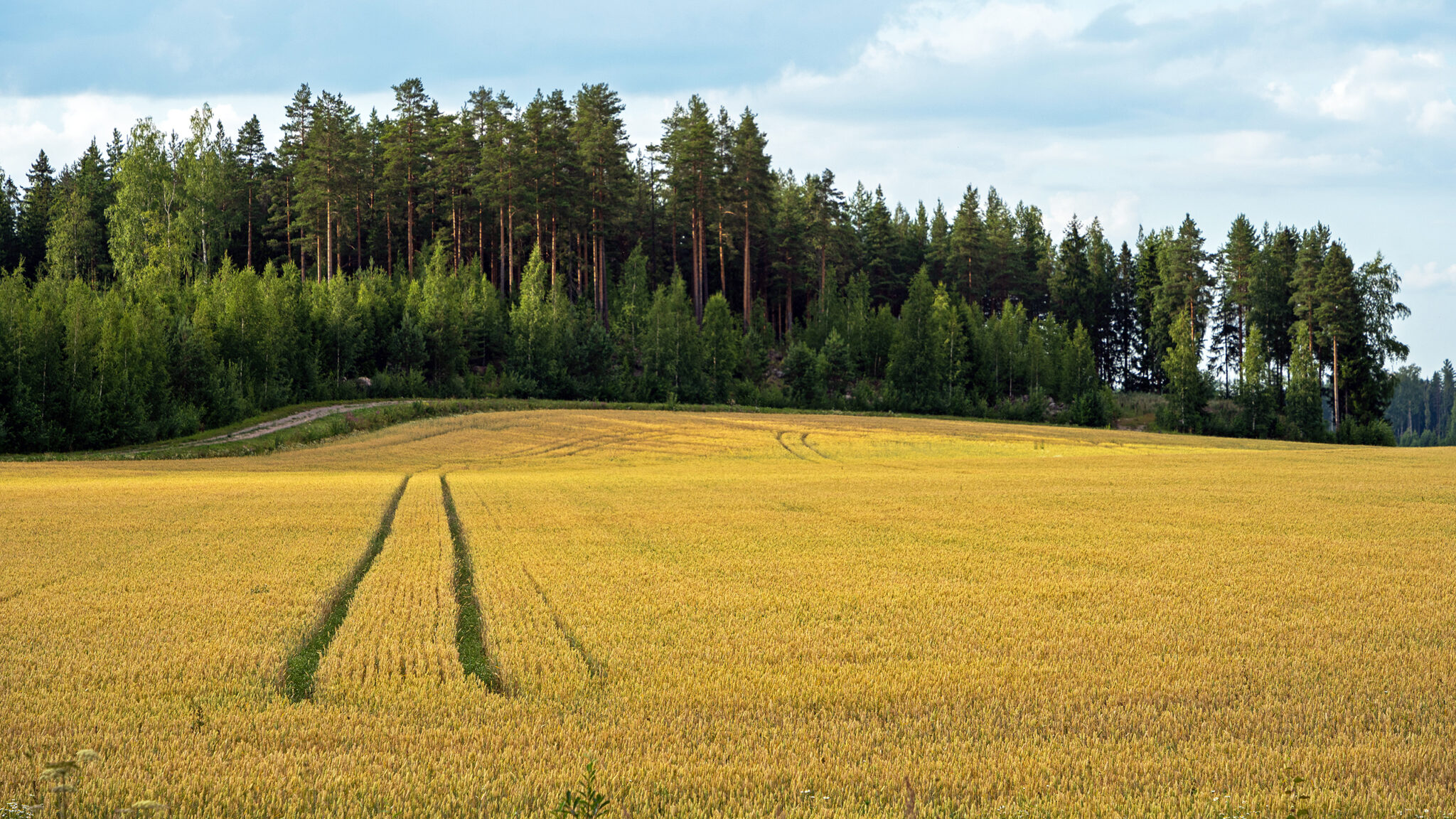Mitä pelto maksaa? - Maatilan Pellervo