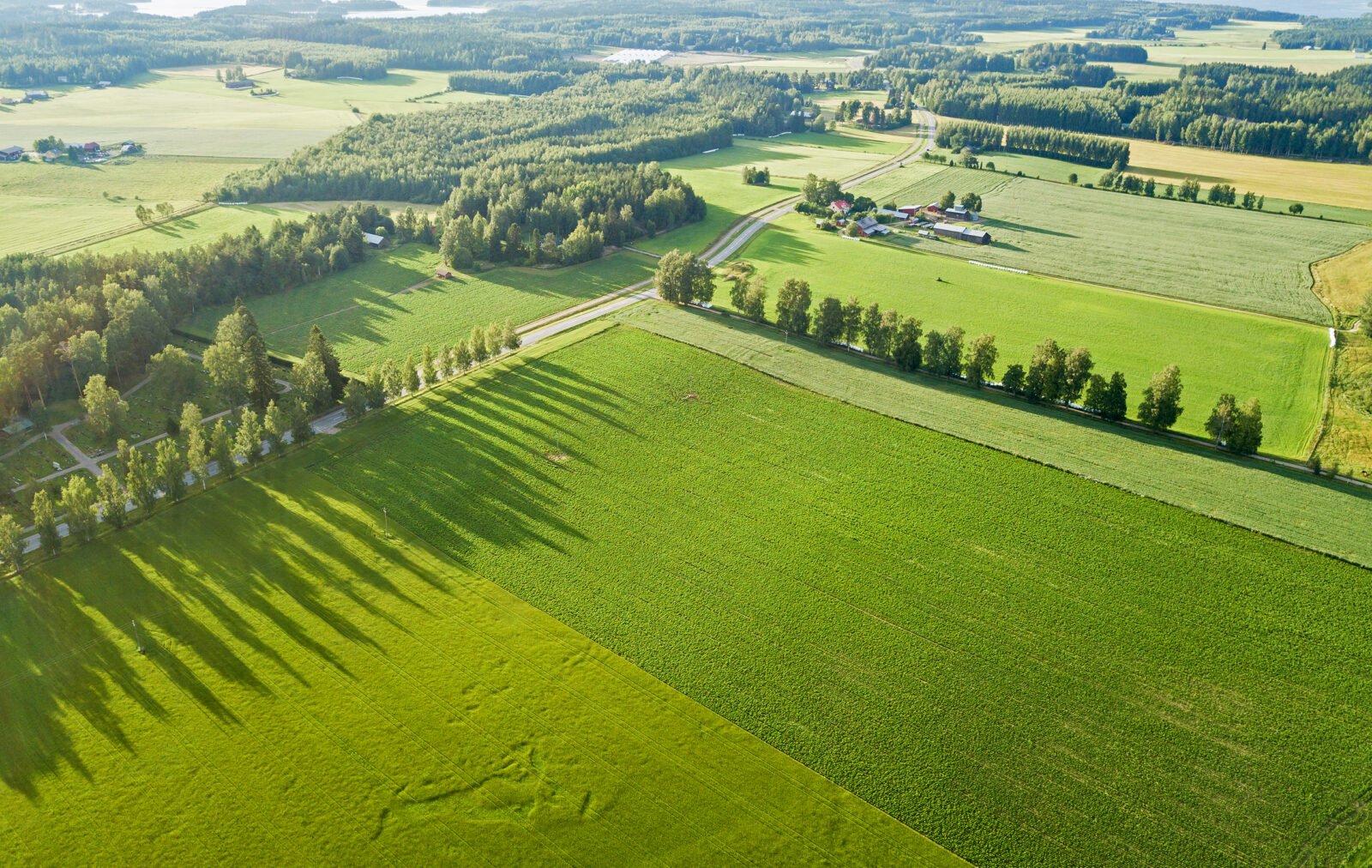 Mitä pelto maksaa? - Maatilan Pellervo