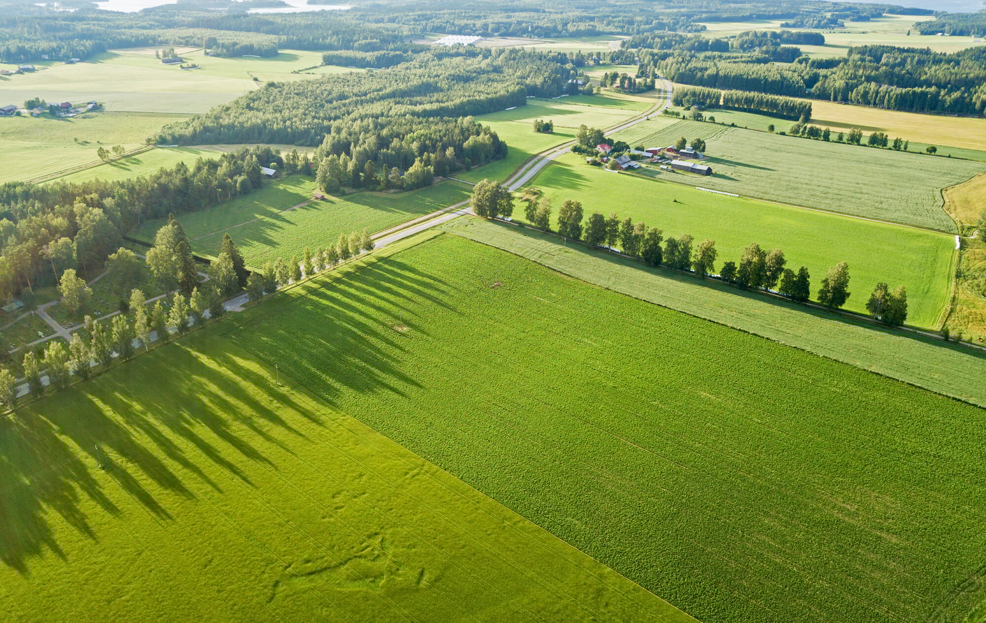 Mitä pelto maksaa? - Maatilan Pellervo